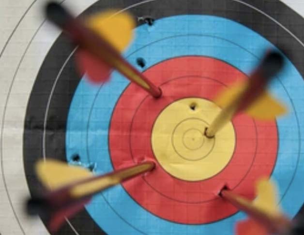 Archery Target - topointarchery