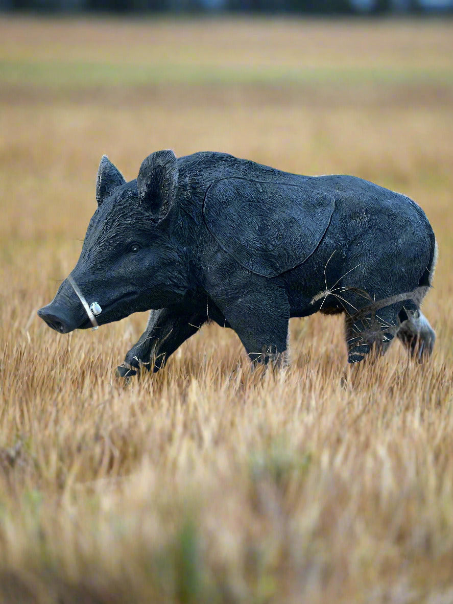 Evercatch Feral Boar 3D Archery Target - topointarchery
