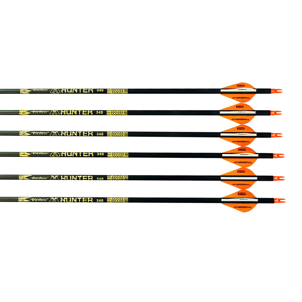 Pandarus Xhunter Hunting Arrows - topointarchery